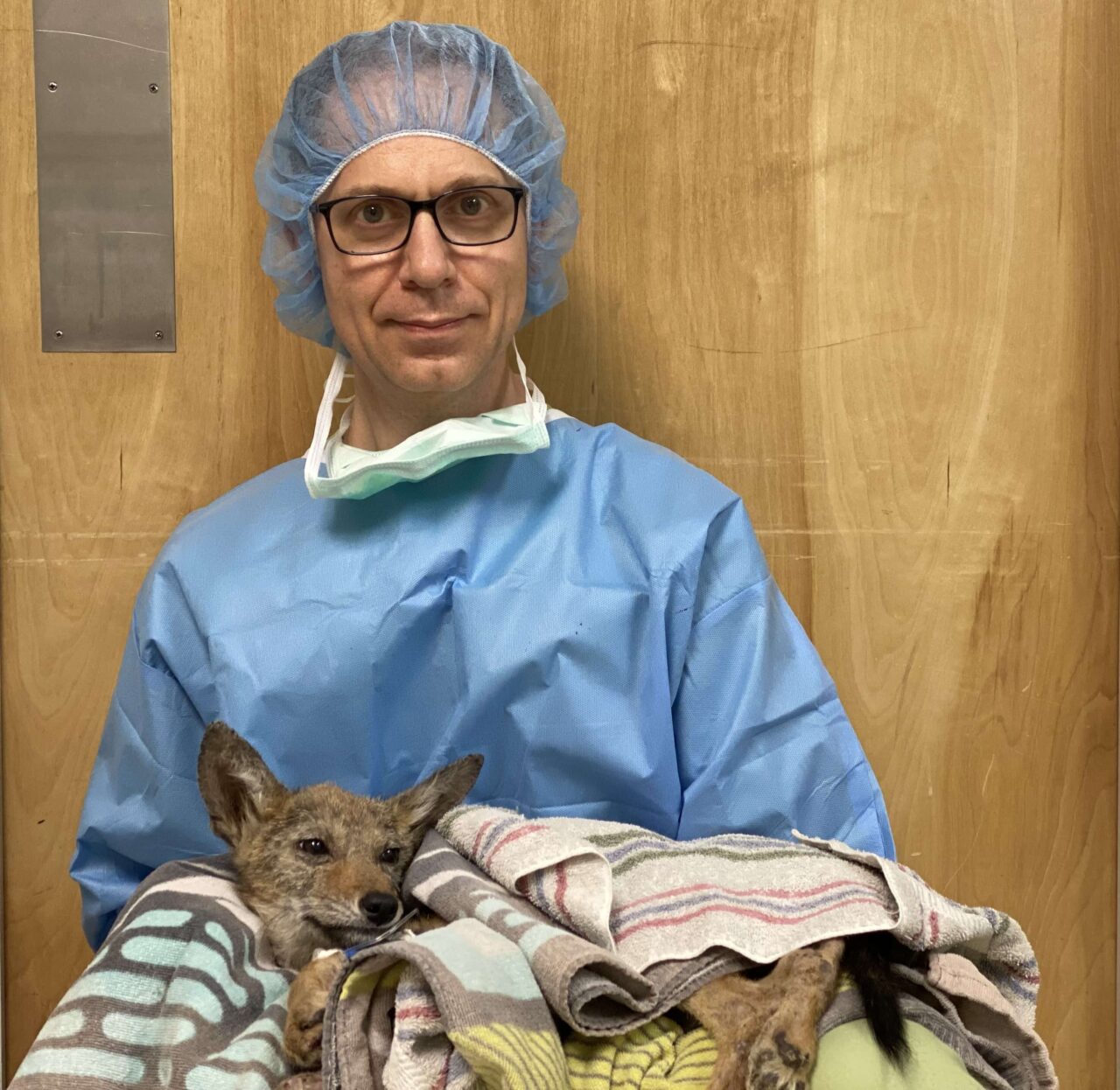 About Lehigh Regional Veterinary Surgical Specialty | Vet In Bethlehem, PA