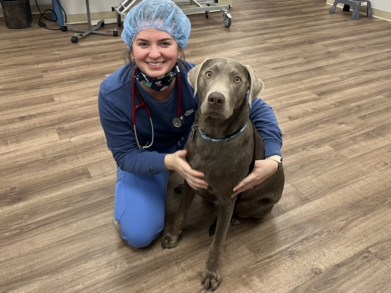 About Lehigh Regional Veterinary Surgical Specialty | Vet In Bethlehem, PA