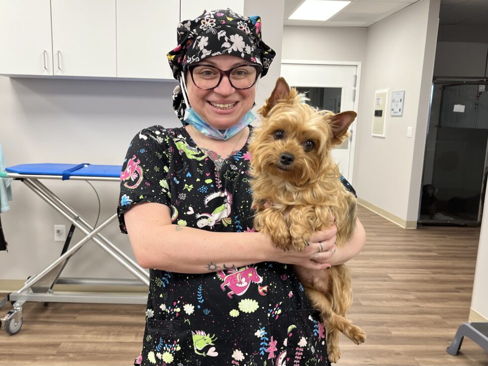 About Lehigh Regional Veterinary Surgical Specialty | Vet In Bethlehem, PA