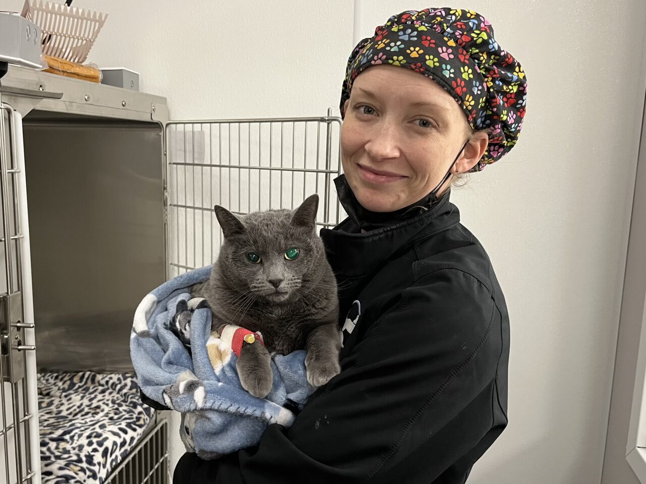 About Lehigh Regional Veterinary Surgical Specialty | Vet In Bethlehem, PA