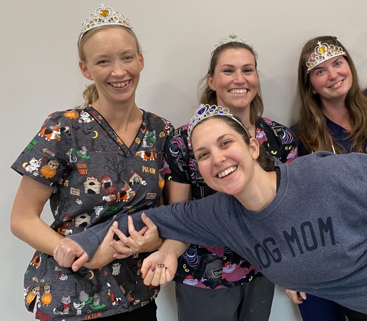 About Lehigh Regional Veterinary Surgical Specialty | Vet In Bethlehem, PA